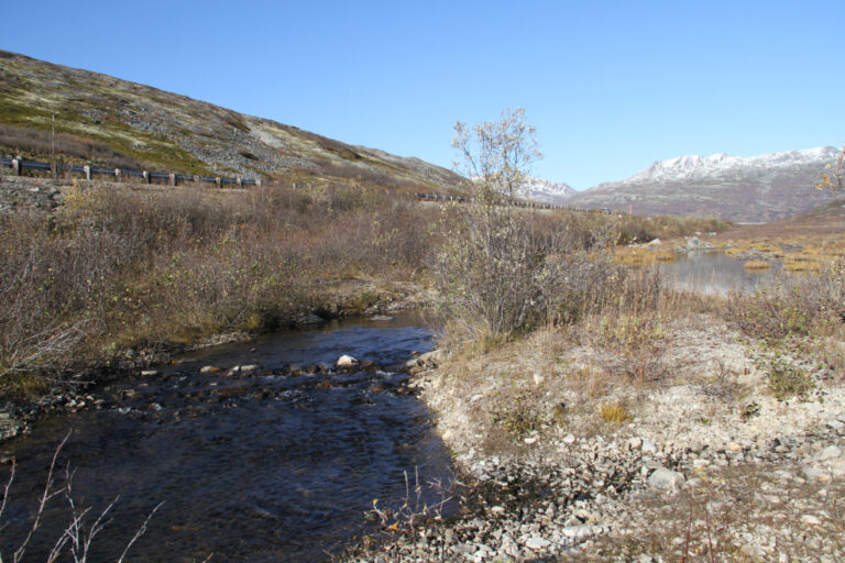 Hiking to The Three Guardsmen Cirque, Haines Highway – The ExploreNorth ...