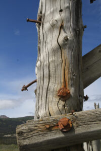 Hiking to the 1942 Alaska Highway bridge over the Slims River – The ...