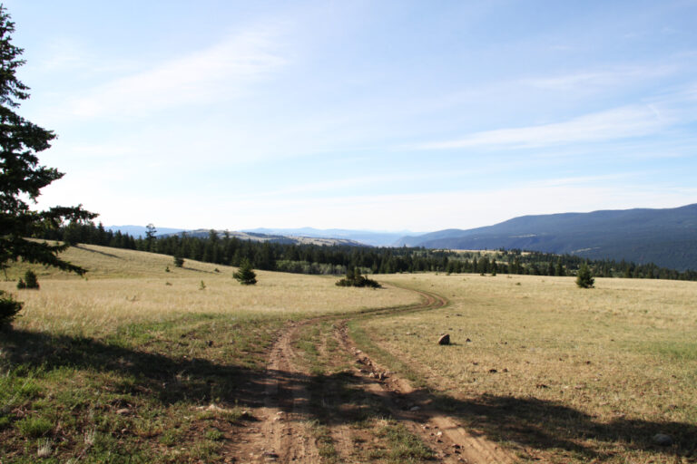 Backroads exploring into Junction Sheep Range Provincial Park – The ...