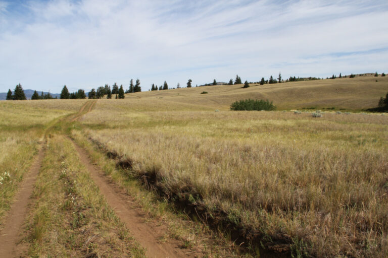 Backroads exploring into Junction Sheep Range Provincial Park – The ...