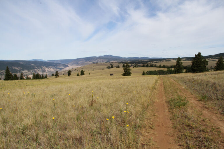 Backroads exploring into Junction Sheep Range Provincial Park – The ...