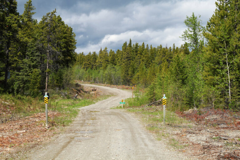 Riding the e-bike up to snow on the Coal Lake trail – The ExploreNorth Blog
