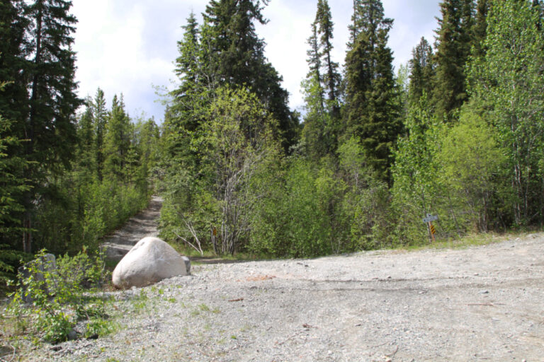 Riding the e-bike up to snow on the Coal Lake trail – The ExploreNorth Blog