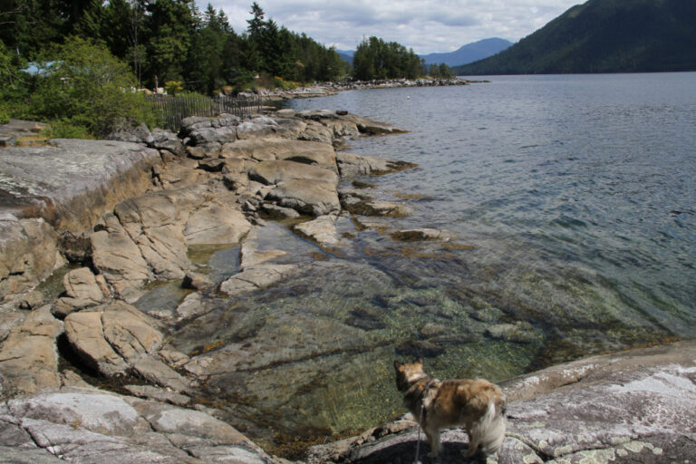 Exploring the Sunshine Coast from Powell River to Saltery Bay – The ...