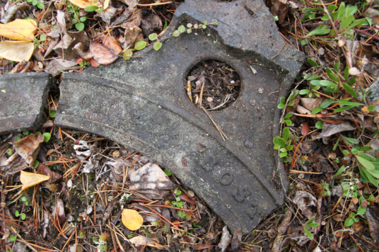Fall colours and Yukon history – by floatplane – The ExploreNorth Blog
