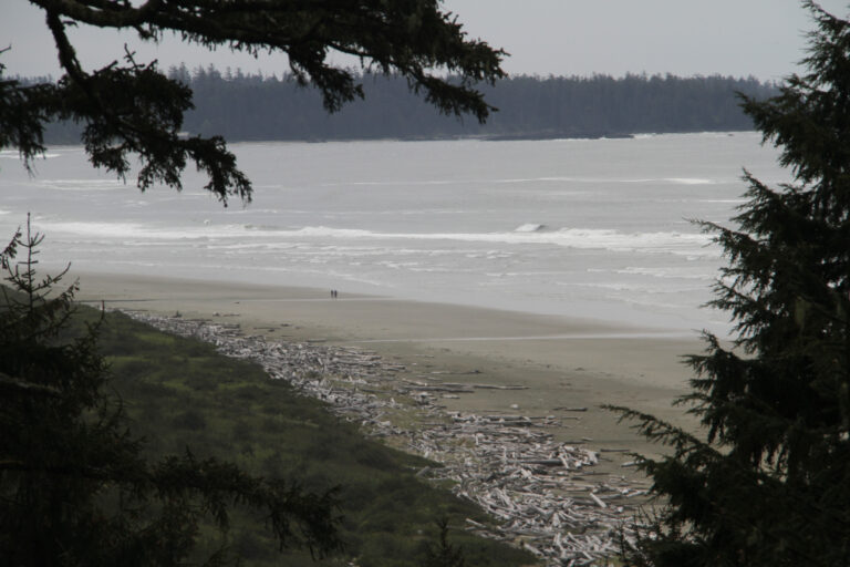Green Point Campground, Pacific Rim National Park – The ExploreNorth Blog