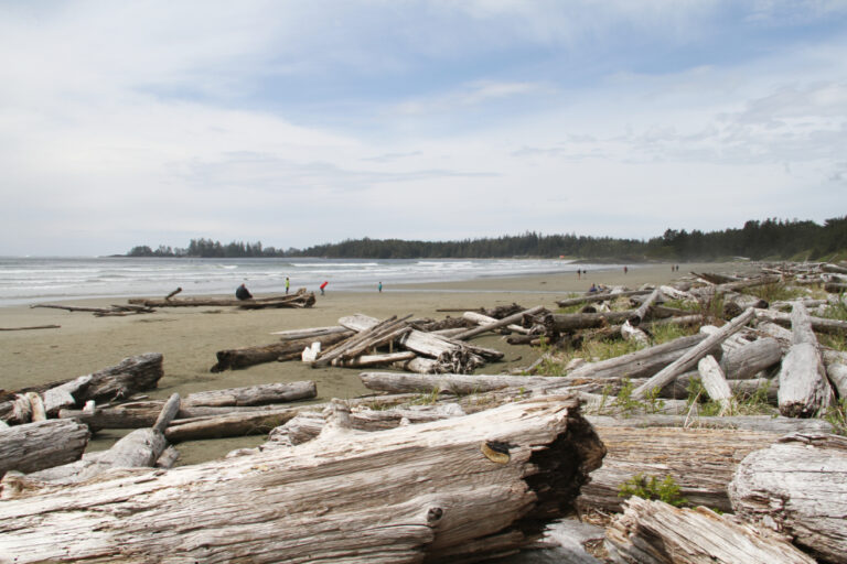 Green Point Campground, Pacific Rim National Park – The ExploreNorth Blog
