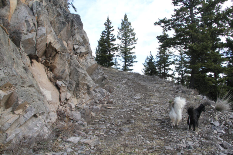 Hiking the Mount Begbie Lookout Trail – The ExploreNorth Blog