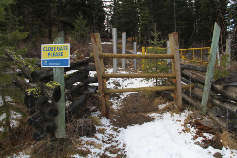 Hiking the Mount Begbie Lookout Trail – The ExploreNorth Blog