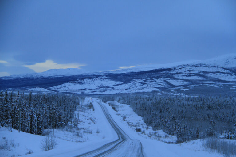 A successful elk hunt in the Yukon – The ExploreNorth Blog