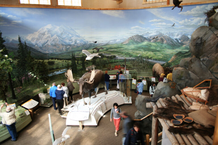 Exploring Denali National Park, Alaska – The ExploreNorth Blog