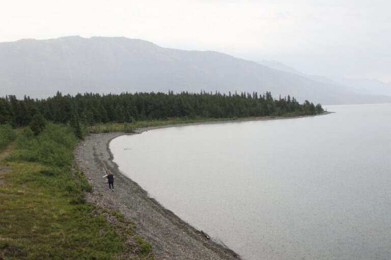 A day in the Atlin – Surprise Lake backcountry – The ExploreNorth Blog
