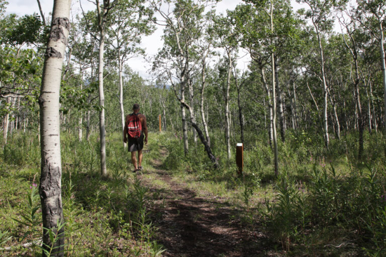 Conrad Campground, Yukon – Walk-in tent sites – The ExploreNorth Blog