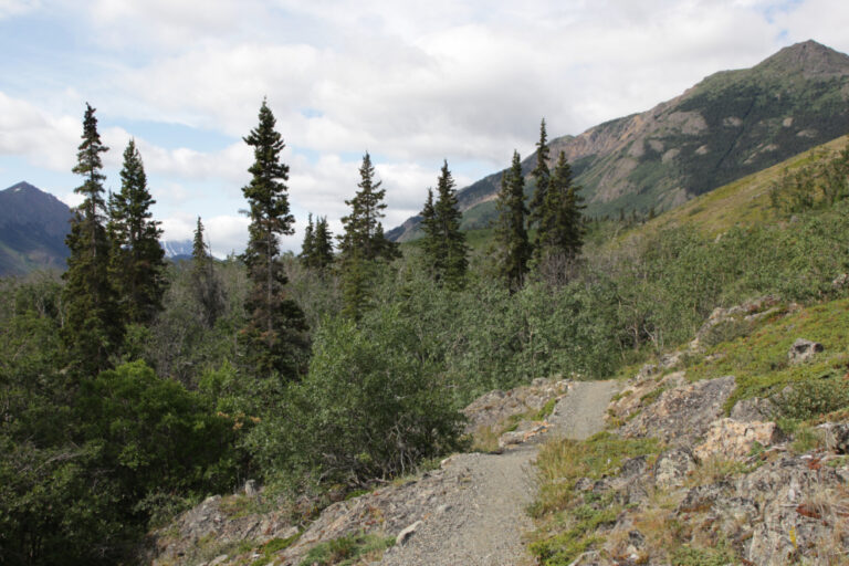 The hiking trails at Conrad Campground, Yukon – The ExploreNorth Blog