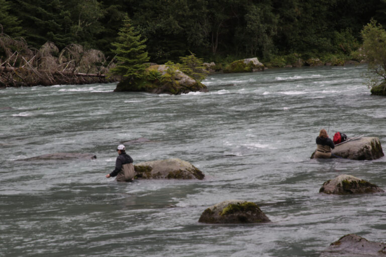 A brown bear family on the Chilkoot River, Alaska – The ExploreNorth Blog