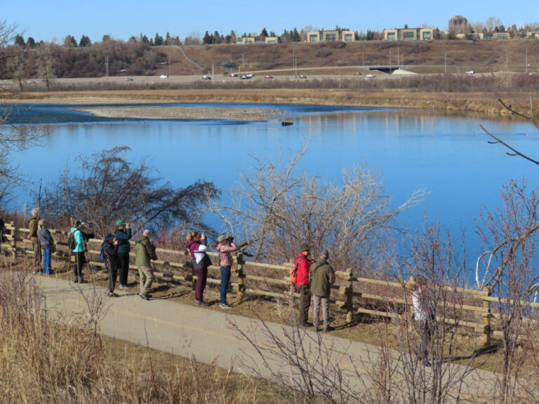 Carburn Park and other Calgary exploring – The ExploreNorth Blog