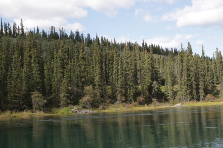 Canoeing the Yukon River, Part 2: the Thirty Mile River and Hootalinqua ...