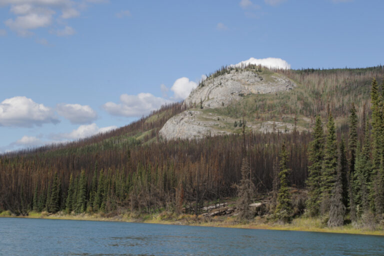 Canoeing the Yukon River, Part 2: the Thirty Mile River and Hootalinqua ...